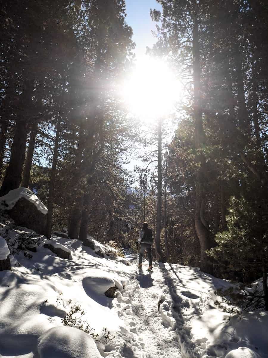 Snowshoeing in Andorra: 15 stunning routes ranked by level